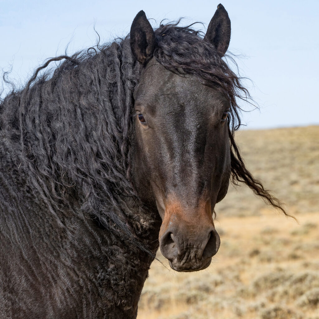 Presentation on Saving and Spending Time with Salt Wells Creek Wild ...